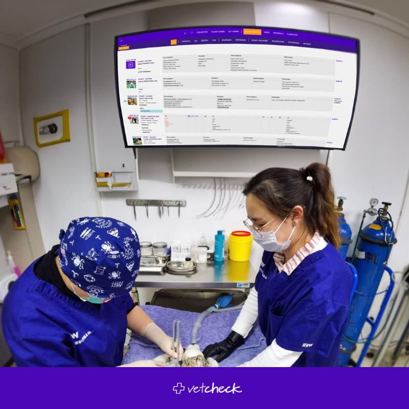 Revolutionizing Veterinary Practice: Digitizing Your Clinic with VetCheck's Digital Hospital ...